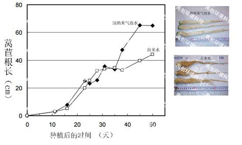 微纳米气泡增氧灌溉 微纳米气泡发生器曝气机设备生产厂家