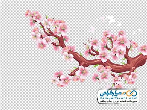 تصویر Png شاخه درخت با شکوفه گل 01041608