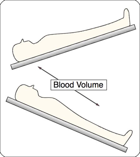 APEX Positioning Flashcards Quizlet