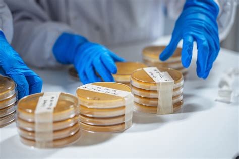 Bioburden Testing Everything You Need To Know Test Labs