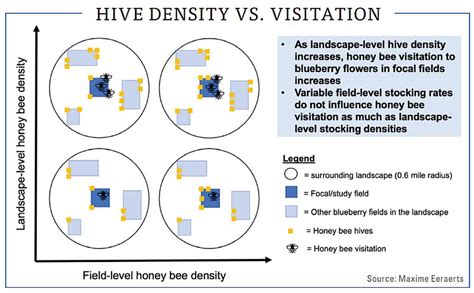 Honey Bee Pollination Chart