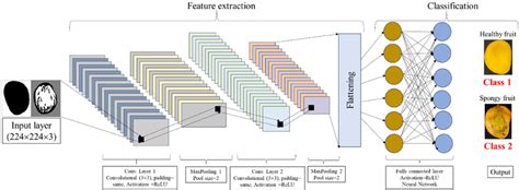 Cnn Model Architecture Used For Binary Classification Of Mango Download Scientific Diagram