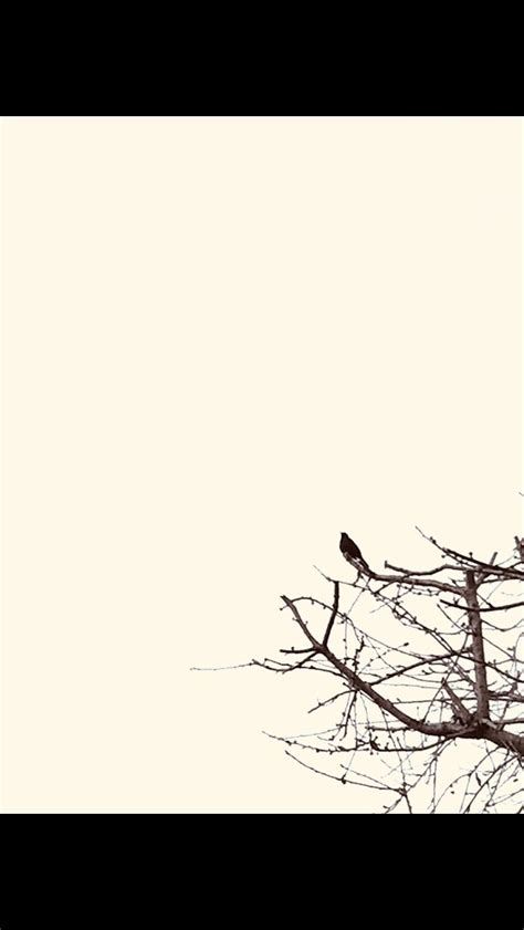 Untitled Isabelle Flickr