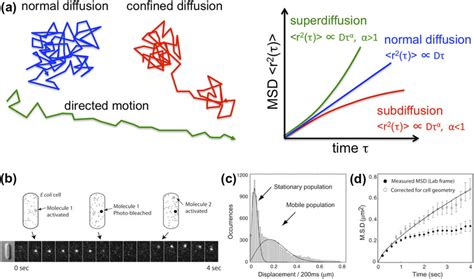 Molecular Diffusion And Msd Analysis A Different Types Of Diffusion