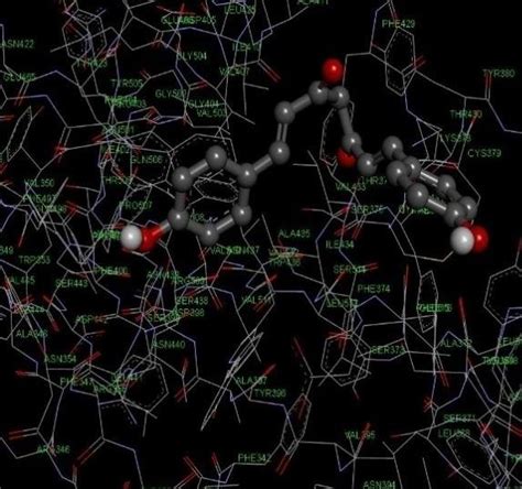 Molecular Docking Of Bis Demethoxy Curcumin On Sars Cov 2 Spike Protein