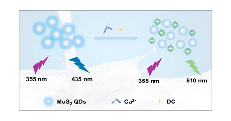 Cys Functionalized Mos2 Quantum Dots And Calcium Ion For Ratiometric Fluorescence Probes For