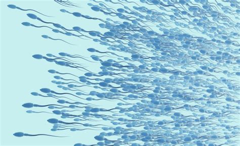 Microplastics Found In All Testicles Tested And Could Affect Fertility