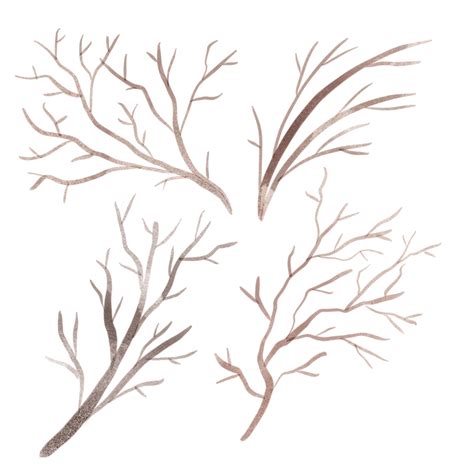Autumn Tree Branches Watercolor Aesthetic Autmn Branches Aesthetic