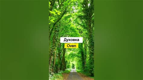 Переведи слова с Русского на Английский быстрее меня 1 Youtube