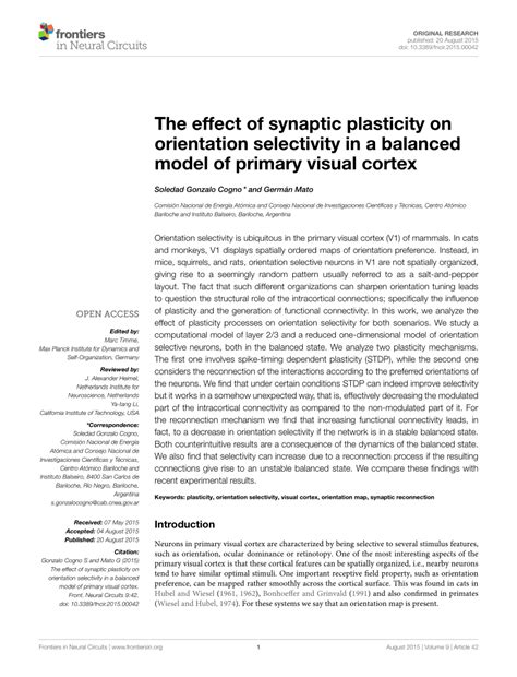 Pdf Orientation Selectivity In A Model Of Primary Visual Cortex With And Without Orientation Map