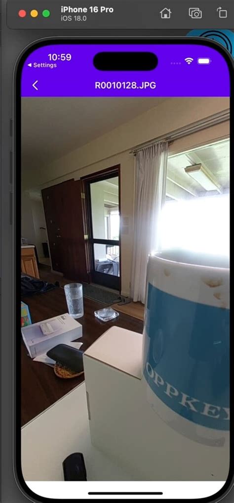 Howto Theta Client 1111 With Ios 18 Using Swift From Demo Ios Api Usage Camera 360 Developer