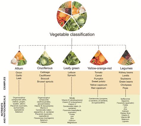 Vegetable Classification Chart