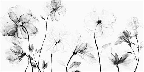 Black And White Flowers On A White Background