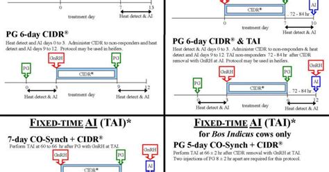 Synchronizing Estrus In Cattle Cow Calf Corner