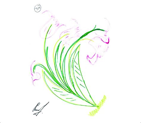 An Example Of A Growthdevelopment Drawing Download Scientific Diagram