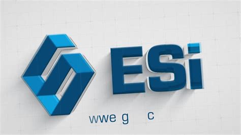 Esi Forensicengineering Datavisualization Engineering Systems Inc Esi