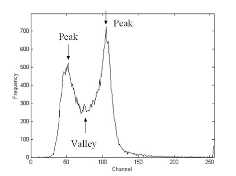 2 Peaks And Valley In A 1 D Histogram Download Scientific Diagram