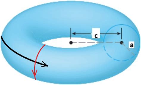 Red And Black Directions Refer To Poloidal θ And Toroidal ϕ