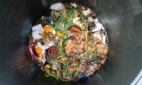 Waste Management How To Decrease Food Waste In The Supply Chain