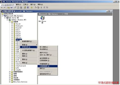 分离mysql数据库系统操作原理 电脑硬盘数据恢复 硬盘恢复 成都数据恢复中心 专业固态硬盘优盘数据恢复