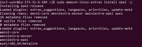 Install Nagios Monitoring Tool In Amazon Linux 2