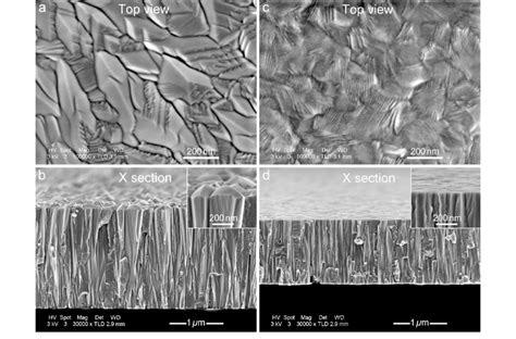 sem micrographs of top view and cross sectional view showing the