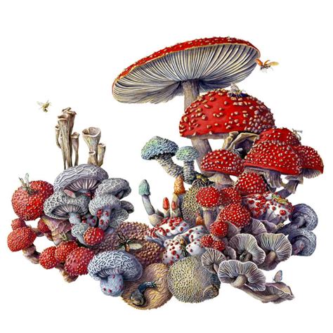 Martha Iserman Available Art And Bio Beinart Gallery