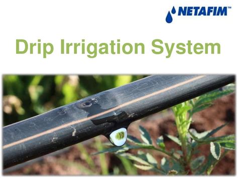 Dripline Irrigation System Netafim