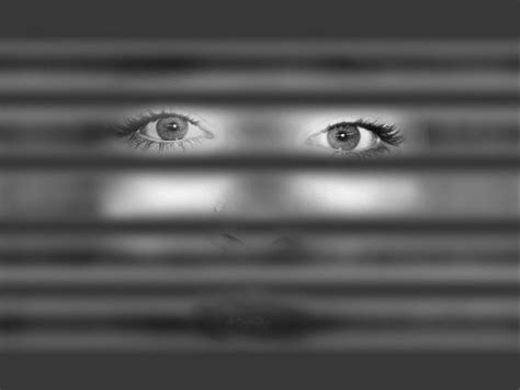 Being Honest The Difference Between Privacy And Secrecy
