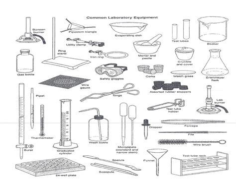 Lab Equipments Quiz Diagram Quizlet