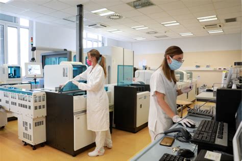 Primo Caso Di Vaiolo Delle Scimmie Identificato In Emilia Romagna