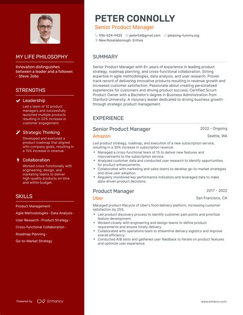 Senior Product Manager Resume Examples How To Guide For