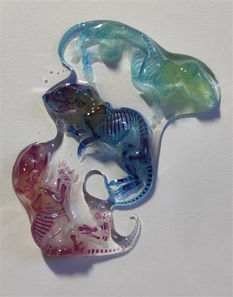 Animals With See Through Skin 20 Photos Of Diaphonization Ebaums World