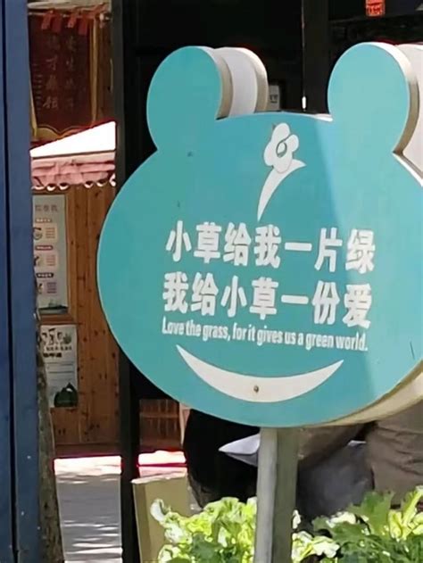 游戏杂谈 其实纵观整个活动剧情，最大的败笔就是小草对待散兵的态度 178