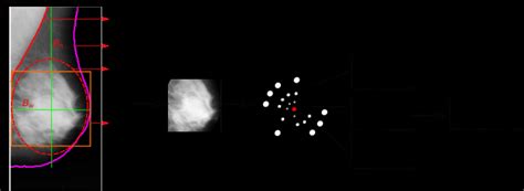 An Overview Of The Feature Extraction Using Multiresolution Lqp