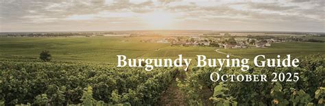 Agnès Gleizes Gives Us A Grand Tour Of Premier Cru Chablis Terroir — K