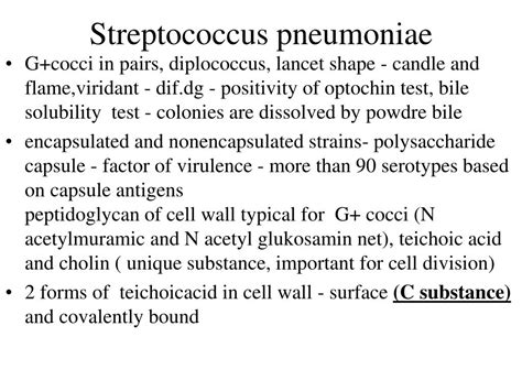 Ppt Classification Nomenclature Taxonomy Identification Powerpoint Presentation Id 3091962