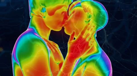 The Neuroscience Psychology And Physiology Of Sexual Behavior