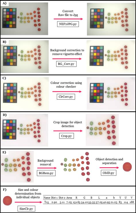Github Harrycwrightplantsizeclr A Repository Of A Set Of Python Tools For Background