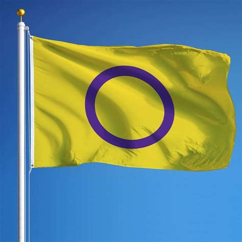 Intersex Pride Flag For Sale Meaning And History Vispronet