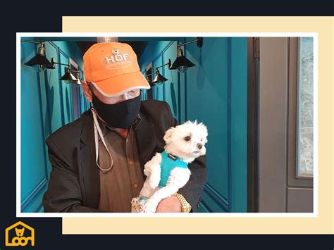 말티즈혼종 두부 책임분양 시베리안허스키 비숑분양가 포메 그레이하운드분양 광주애견샵 폼스키 유기견무료입양 위례강아지분양 빅토리아펫보호소 입양완료