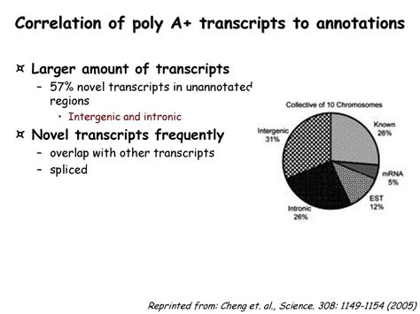 Genome Biology And Biotechnology Ppt Download