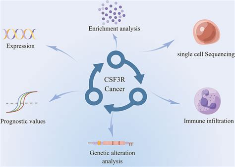 Integrated Transcriptome Proteome And Single‐cell Sequencing Uncover The Prognostic And