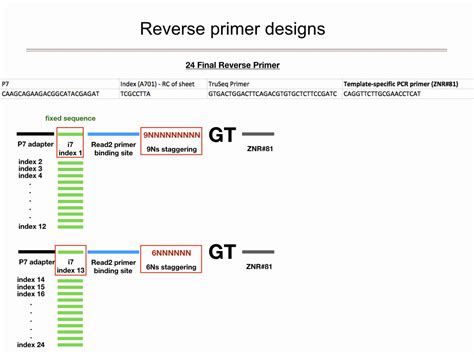 Sequencing Primer Design For Barcode Sequencing