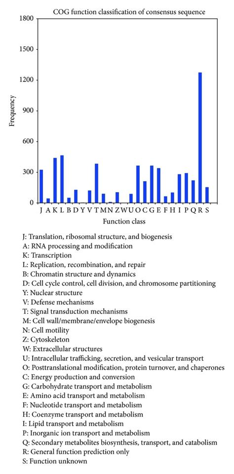 Clusters Of Orthologous Cog Classification A Total Of 4283 Unigenes