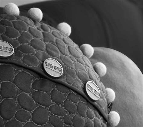 Handleiding Pfaff Quilt Expression 4 0 Pagina 3 Van 52 Nederlands