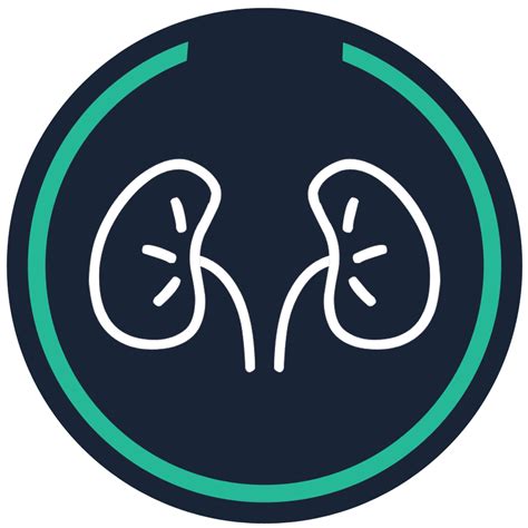 Perioperative Risk Prediction Tools For Predicting Complications In Surgical Patients