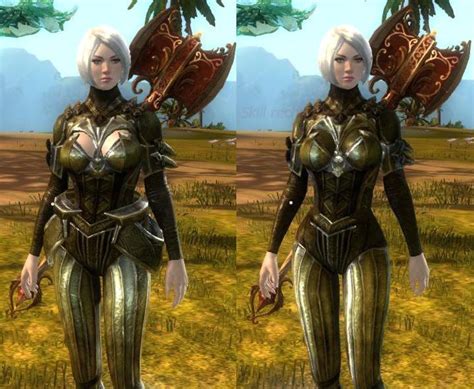 Guild Wars 2 A Possible New Way To Mod Guild Wars 2 That Is Quite