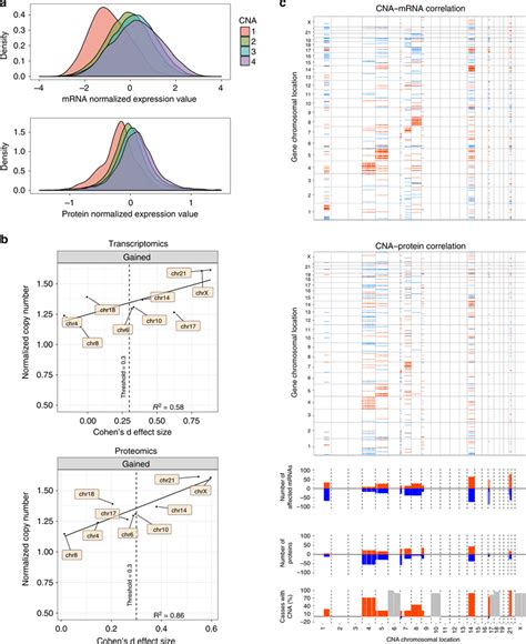 Effects Of Copy Number Alterations On Mrna And Protein Abundance A