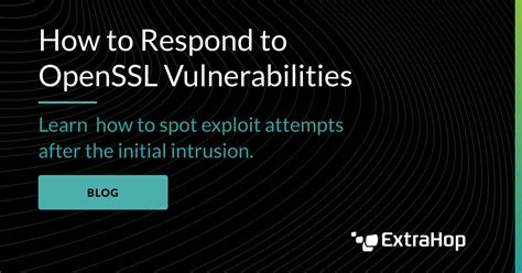 karl werner on linkedin how to respond to openssl vulnerabilities